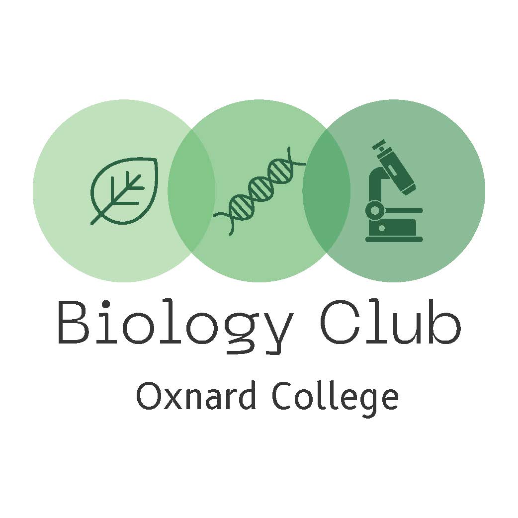 OC STEM Club Alliance | Oxnard College